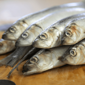 1kg Premium Frozen Sprats - Natural, Healthy Dog Treats for Training ...